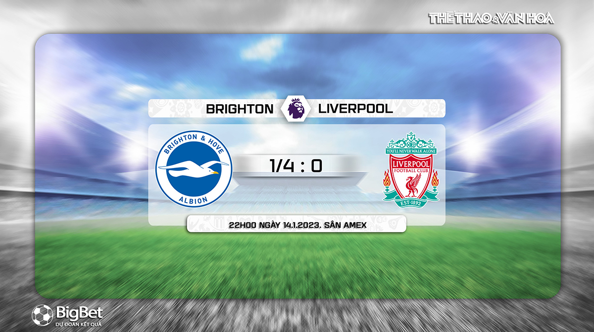 Nhận định bóng đá Brighton vs Liverpool (22h00, 14/1): Chờ Gakpo nổ súng