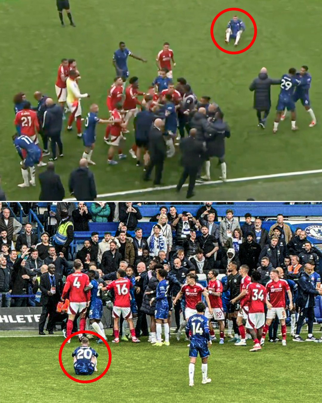 Cole Palmer sắm vai 'người ngoài cuộc' trong vụ cầu thủ Chelsea ẩu đả ...