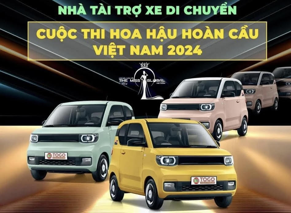 Công ty vừa thành lập đầu tư mua 2.000 xe ô tô điện