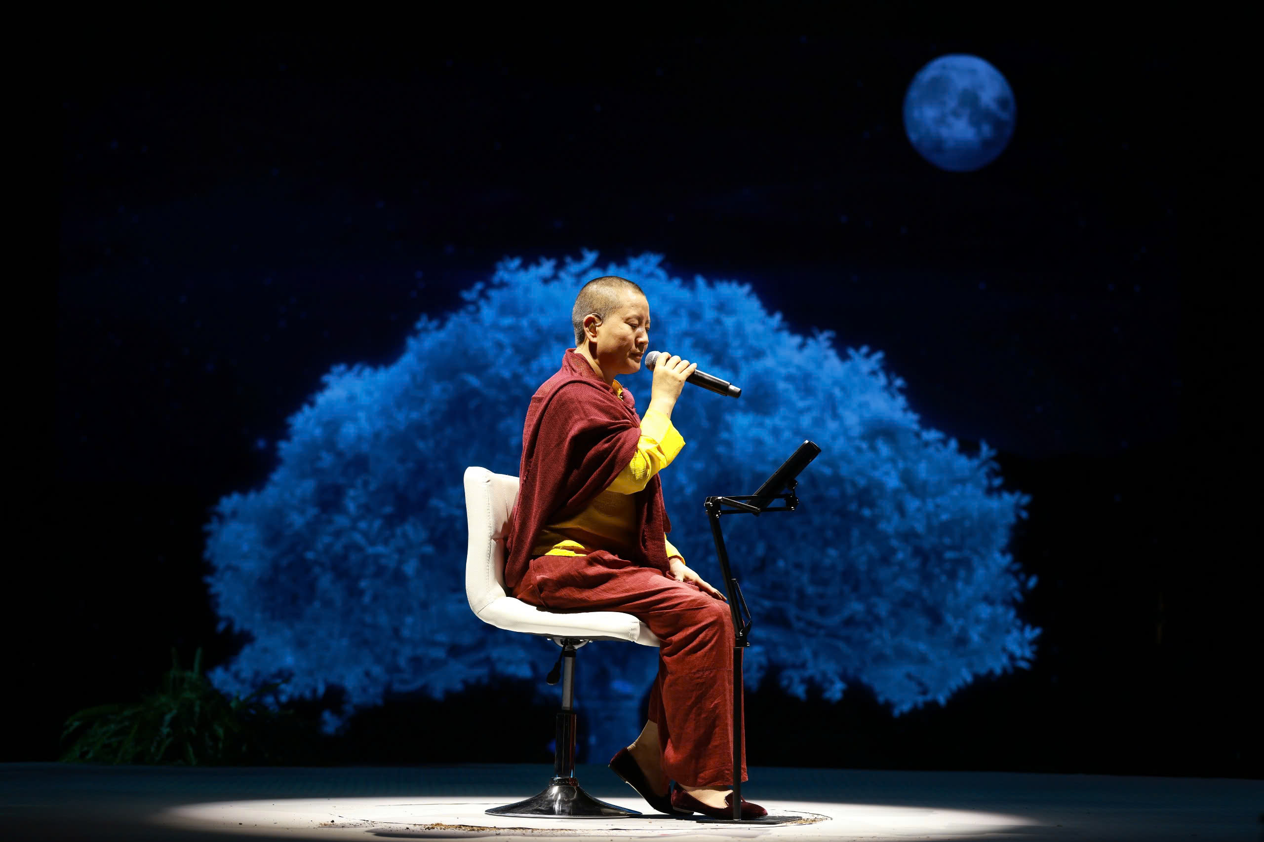 Ani Choying Drolma, Trần Mạnh Tuấn và buổi "trị liệu" bằng âm nhạc