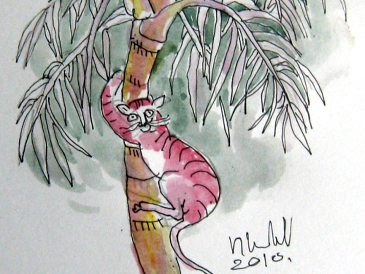 Con mèo mà trèo cây cau…