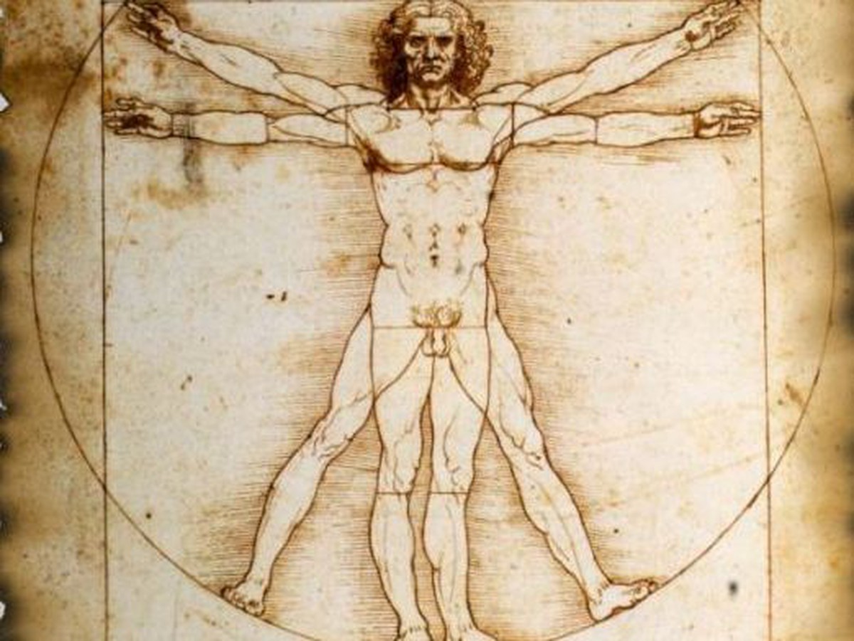 Da Vinci copy tranh của bạn?