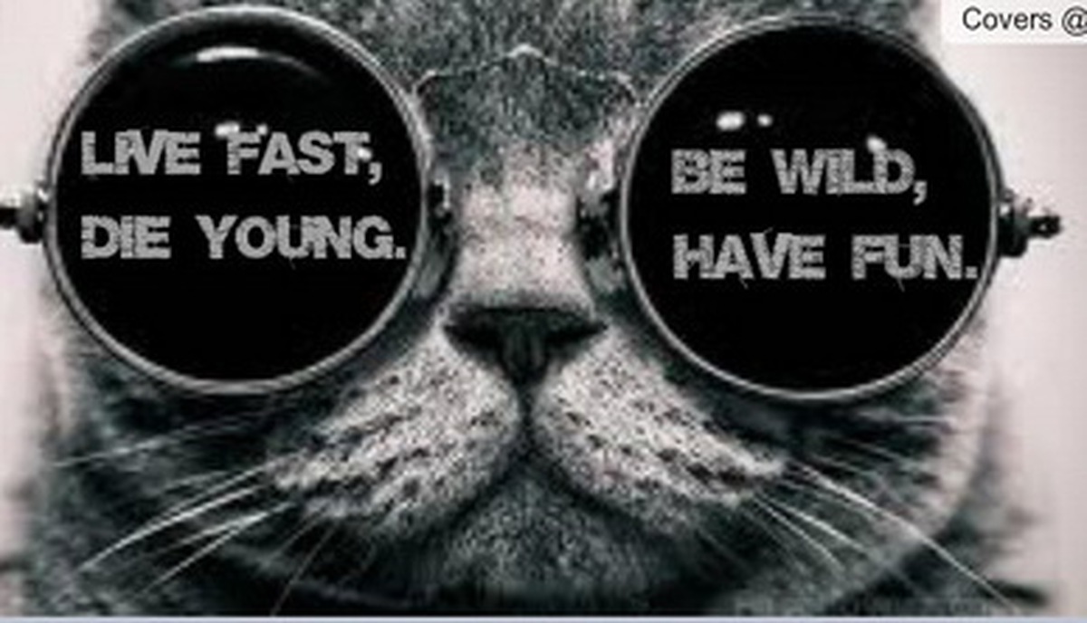 Tìm hiểu live fast die young là gì và ý nghĩa tiếng Việt của cụm từ này