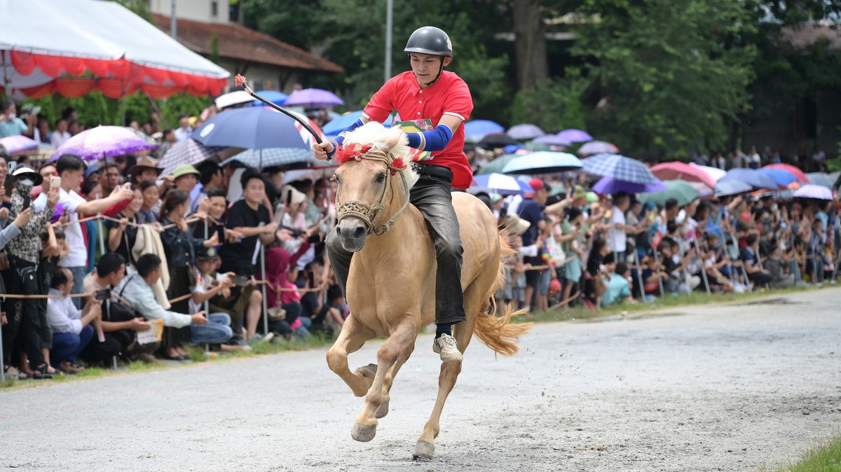 Ngắm các kỵ sĩ đua ngựa trên Cao nguyên trắng Bắc Hà